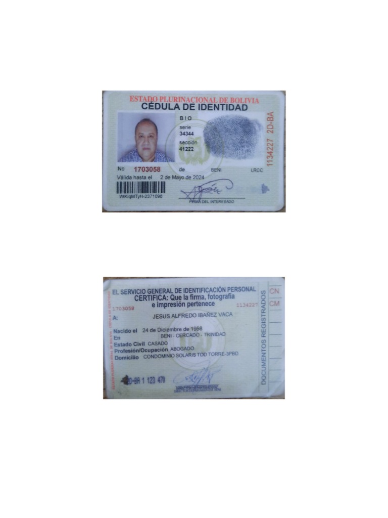 Carnet DR Ibañez | PDF