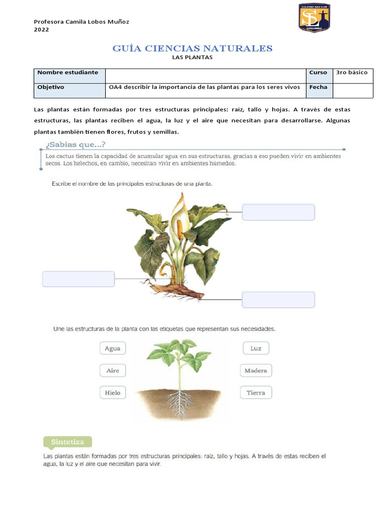Guia de Plantas | PDF