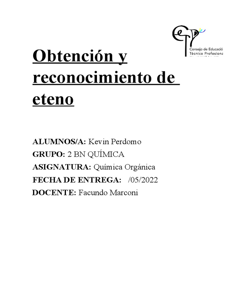 Informe Eteno | PDF