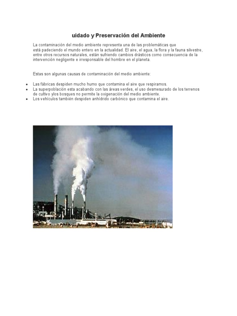 Uidado y Preservación Del Ambiente | PDF