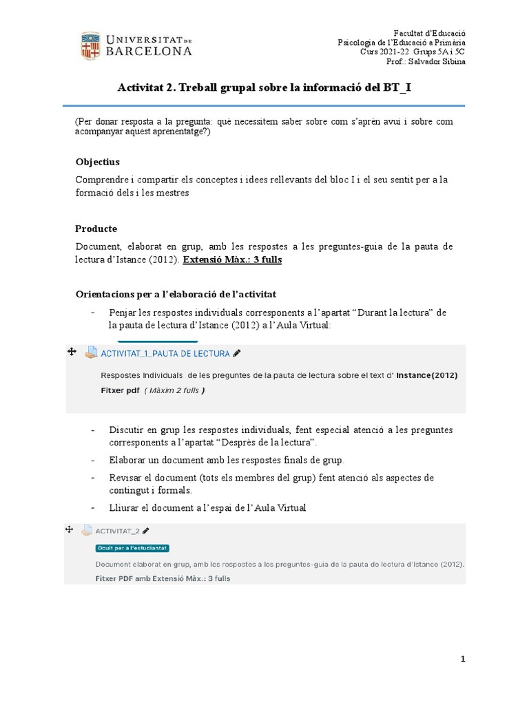 BTI - Activitat - 2 - Treball Grupal | PDF