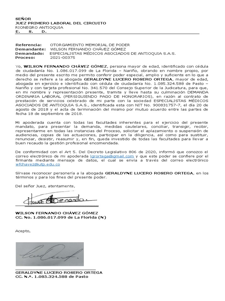 PODER DEMANDA ORDINARIA LABORAL | PDF