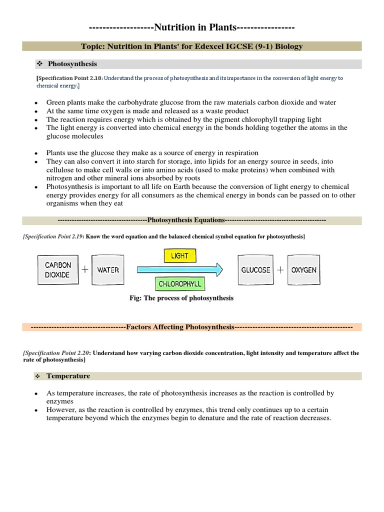 IGCSE Biology: Plant Nutrition | PDF | Photosynthesis | Plants