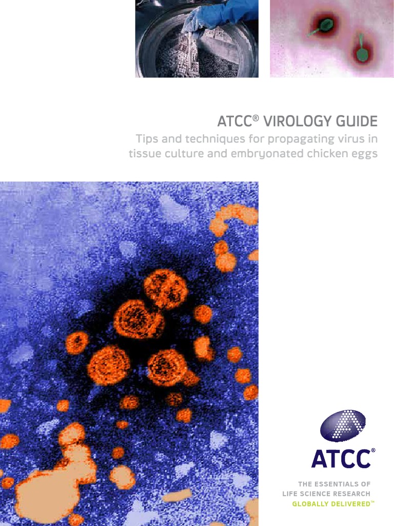 ATCC Virology Guide | PDF | Virus | Influenza