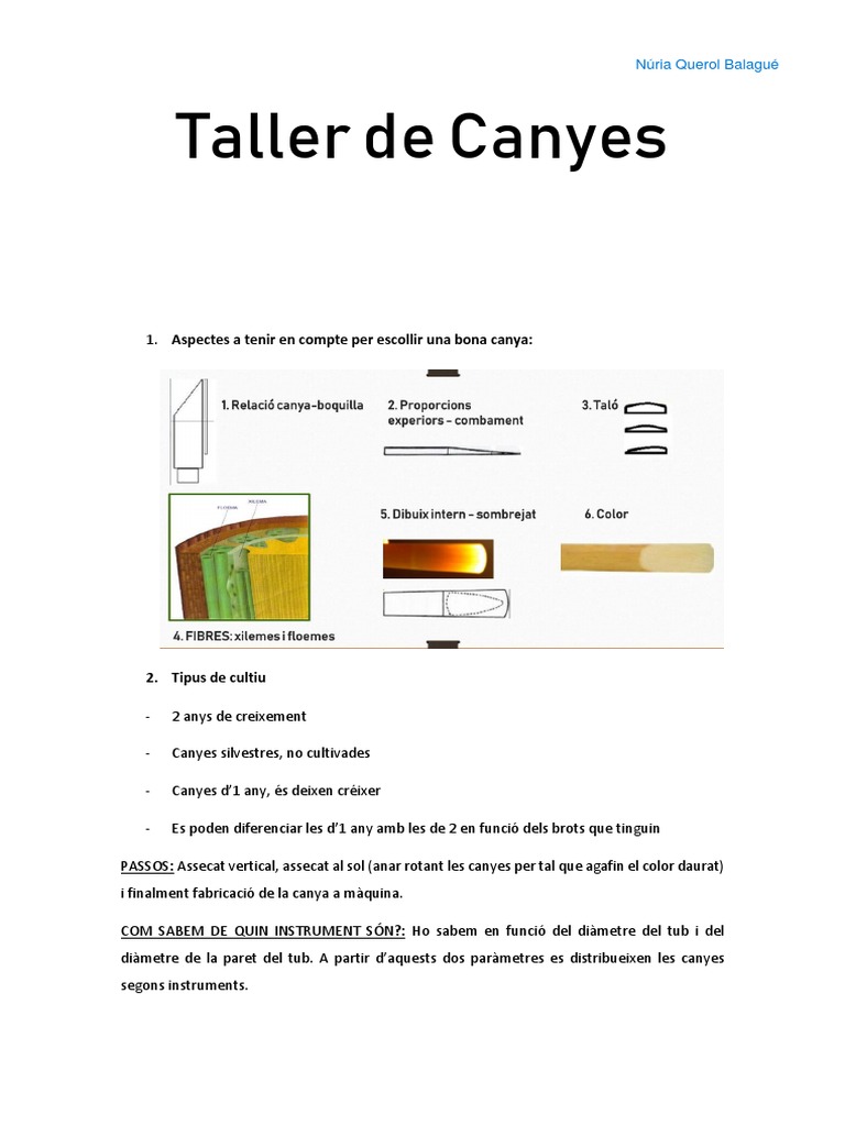 Taller de Canyes Resum PDF | PDF