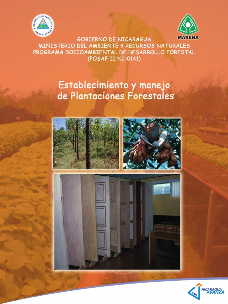 POSAF - Manual para El Establecimiento de Plantaciones Forestales | PDF | Agua | Los bosques