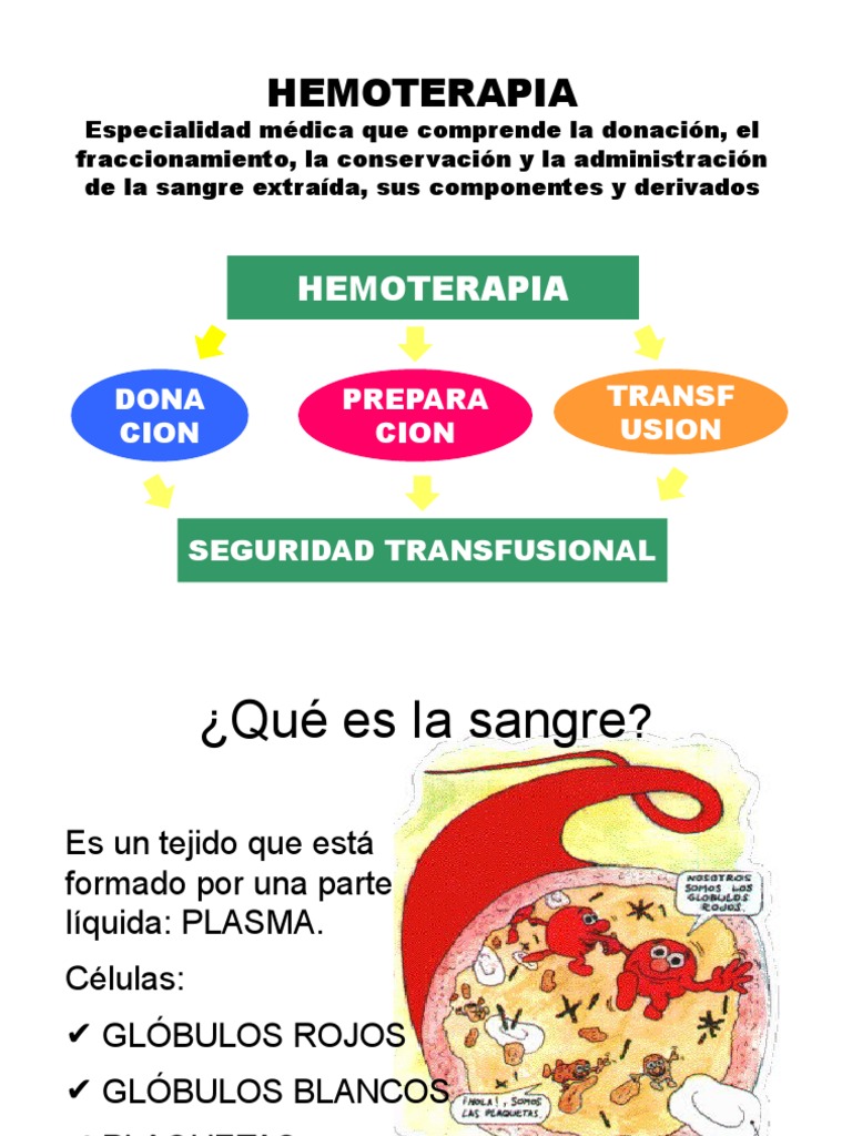Hemoterapia - Procesos | PDF | Sangre | Donación de sangre