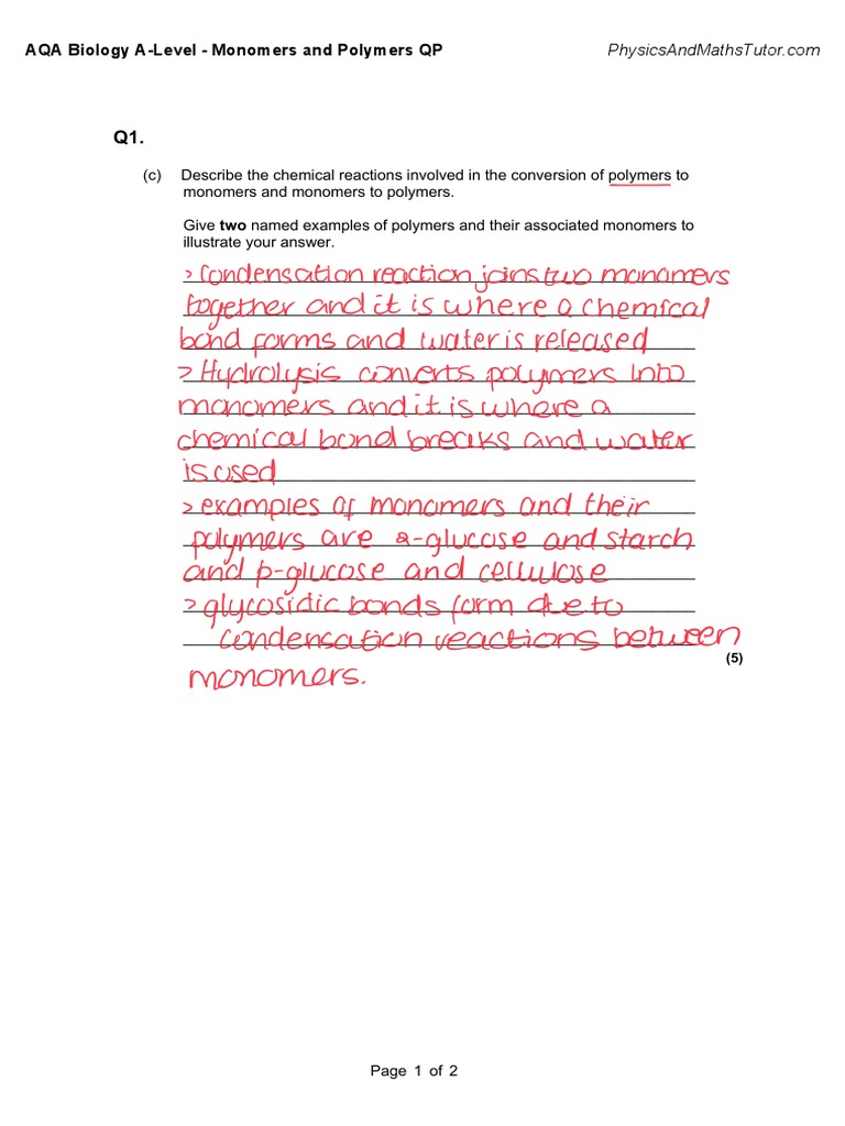 1.1 Monomers and Polymers QP | PDF | Polymers | Biochemistry