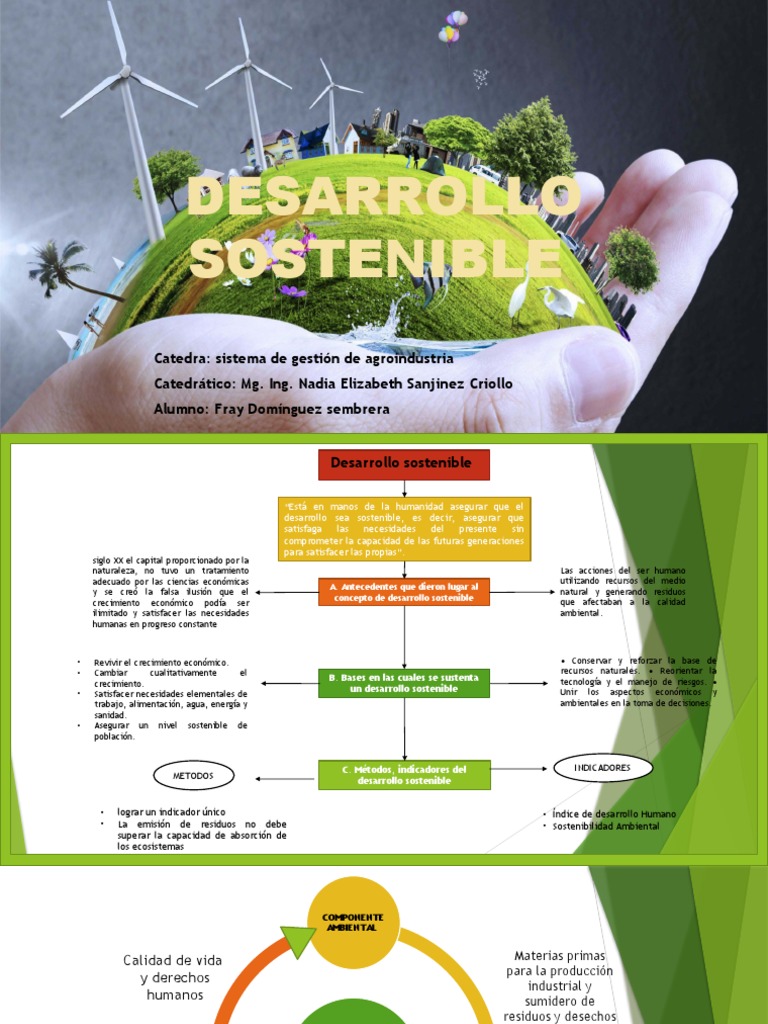 Desarrollo Sostenible | PDF | Sustentabilidad | Desarrollo sostenible