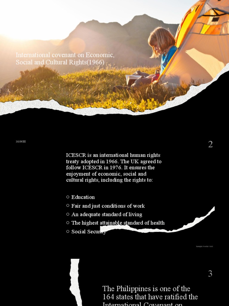 Understanding ICESCR Rights | PDF | Computing