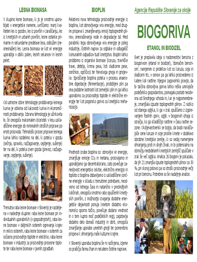 BIOGORIVA | PDF