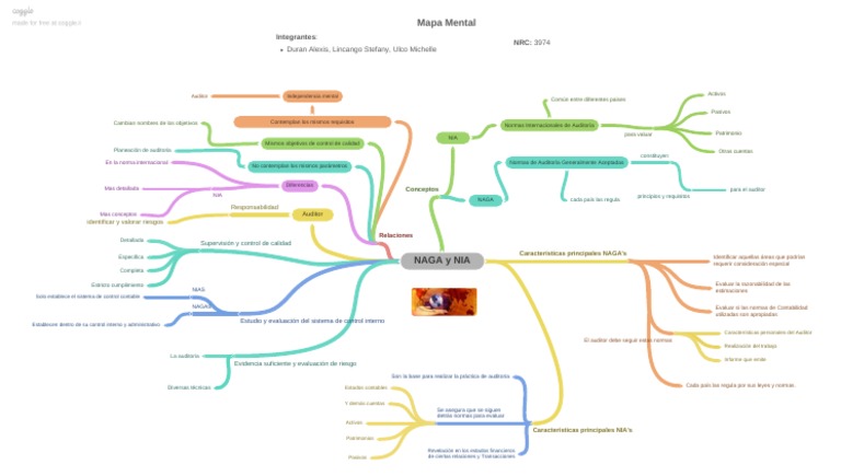 Mapa Mental, Control I | PDF | Auditoría | Contabilidad