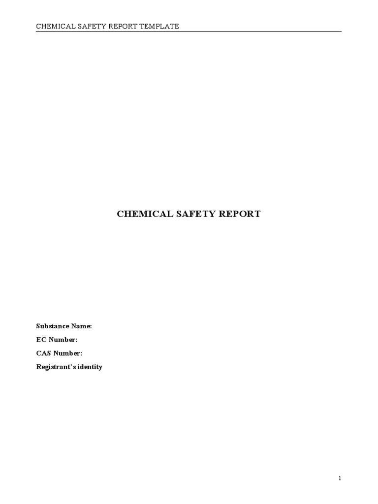 Chemical Safety Report Format | PDF | Toxicity | Biodegradation