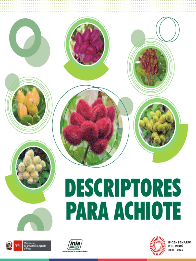 Manco-Et-Al 2022 Descriptores Achiote PDF | PDF | Color | Amarillo