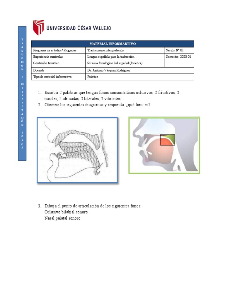 Práctica Calificada de Fonética Del Español | PDF