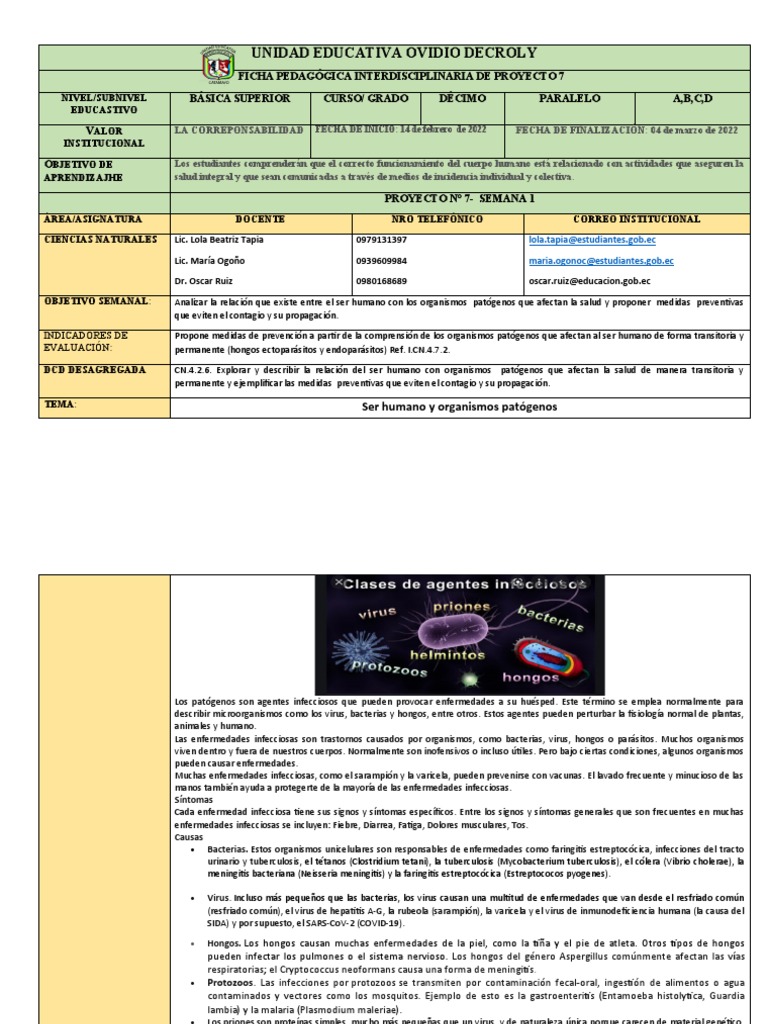 16 - 10mo - A - CCNN - Proyecto 7 Interdisciplinar | PDF | Patógeno | Infección