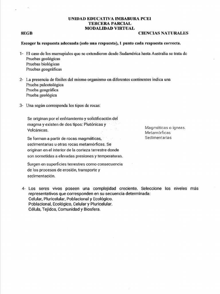 CCNN PARC 3 VIRTUAL B | PDF