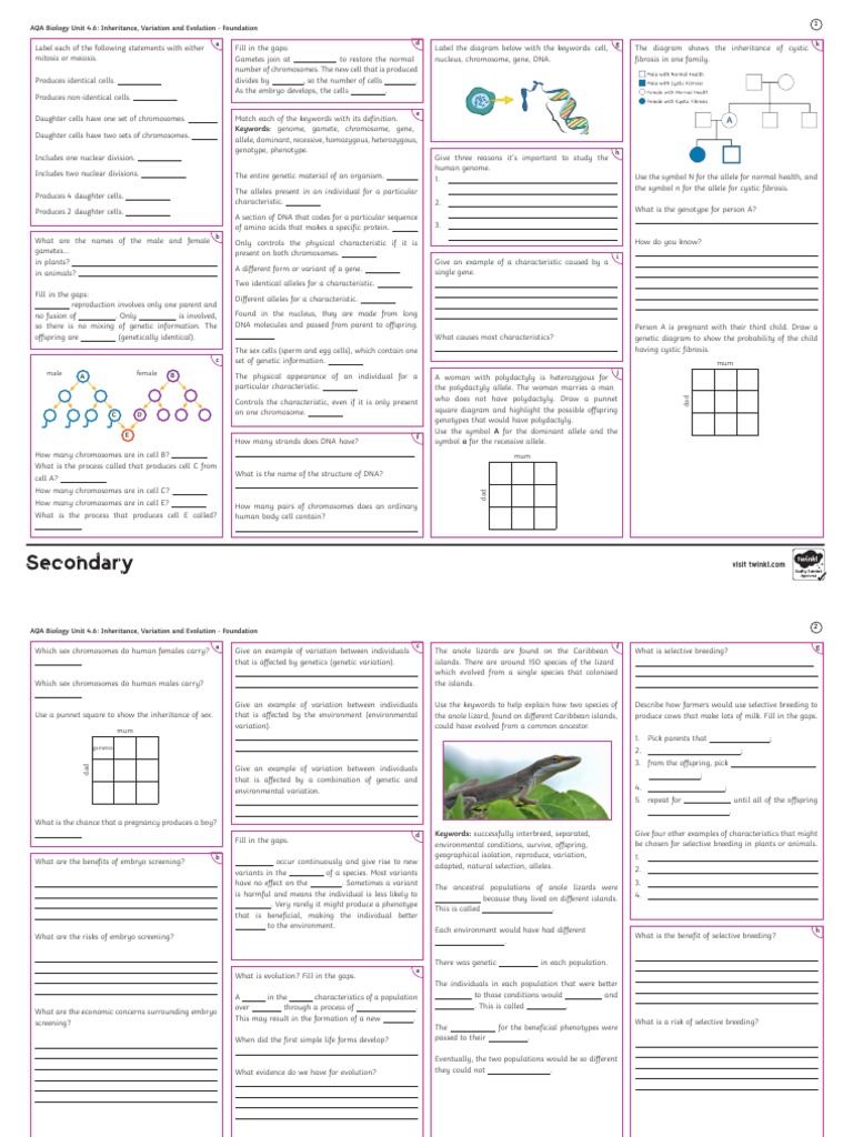06 Inheritance and Evolution Foundation Revision Activity Mat | PDF ...