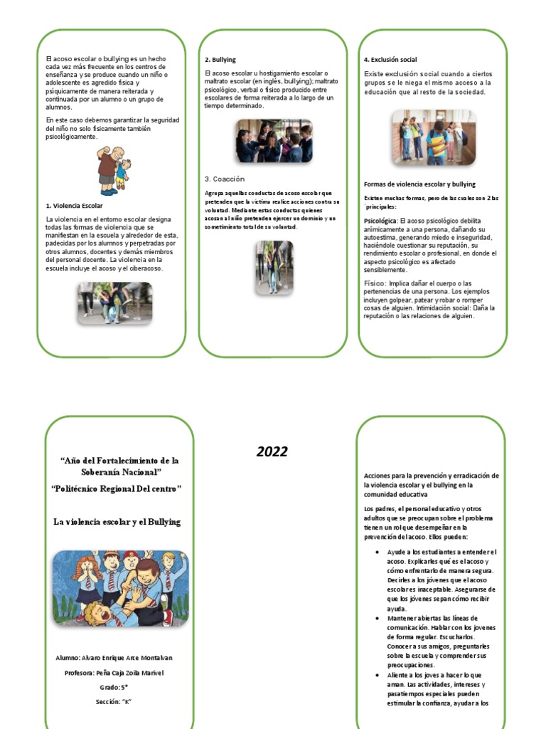 DPCC Triptico | PDF | Acoso cibernético | Psicología Social