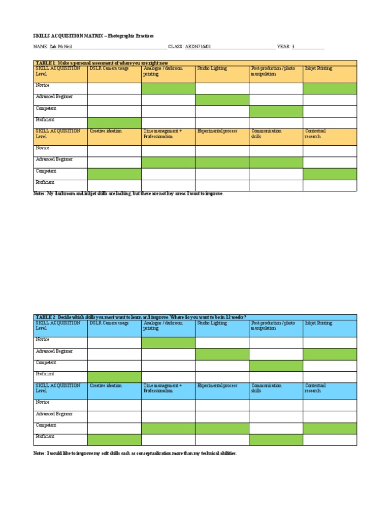 Skills Acquisition Matrix | PDF
