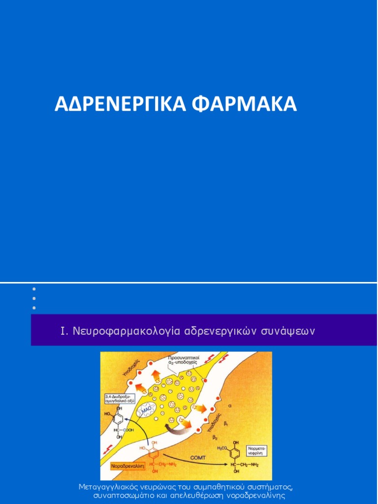 ΑΔΡΕΝΕΡΓΙΚΑ ΦΑΡΜΑΚΑ | PDF
