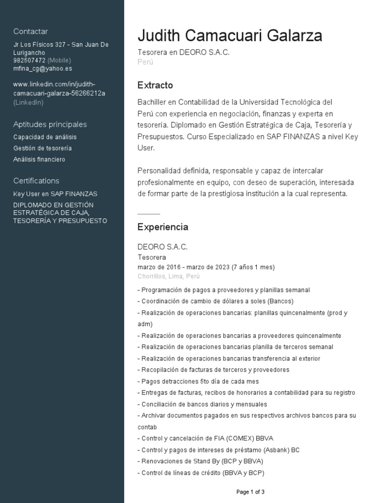 Tesorera con experiencia en finanzas | PDF