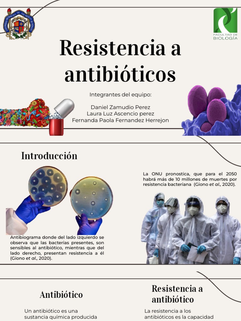 Resistencia A Antibioticos | PDF | Resistencia antimicrobiana | Beta lactamasa