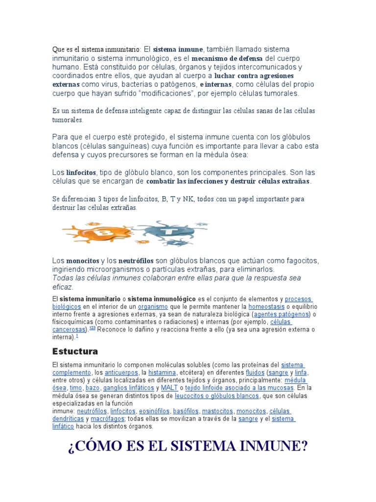 Sistema Inmunitario | PDF | Sistema inmune | Linfocitos