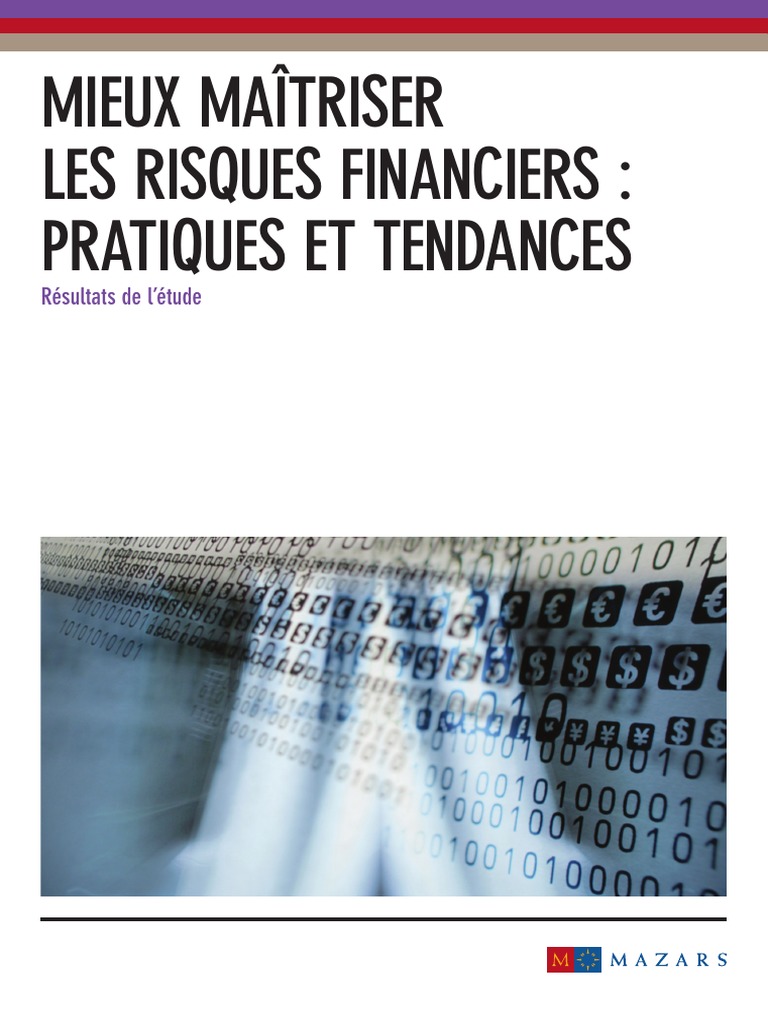 Risques Financier Vdef | PDF | Risque | Risque financier