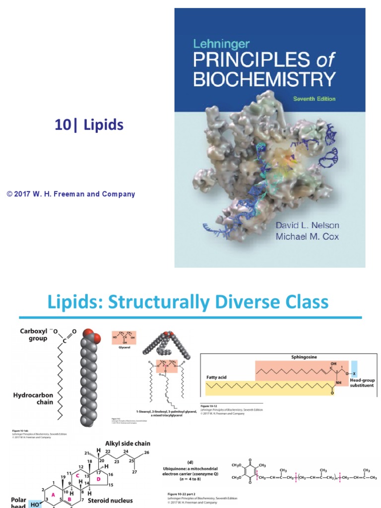 Lehninger Ch10 Lipids | PDF | Fatty Acid | Lipid