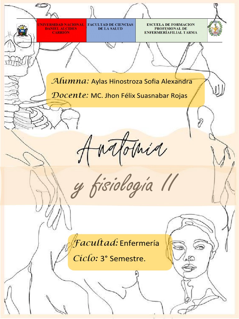 Anatomia Caratula | PDF