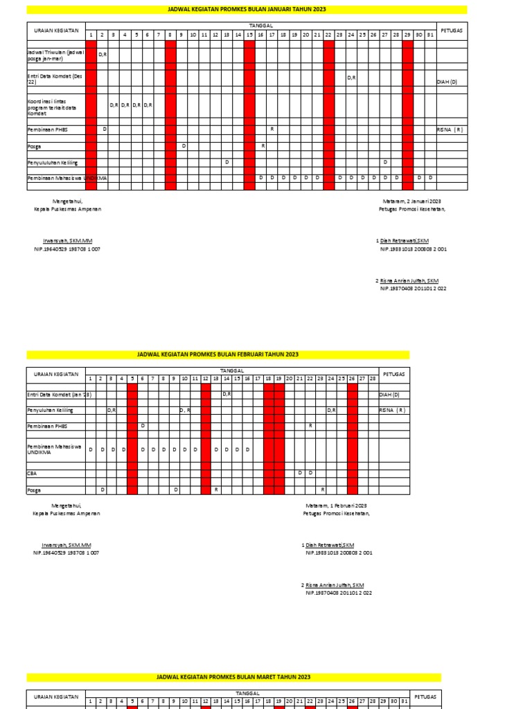 Jadwal Kegiatan Promkes Februari 2023 | PDF