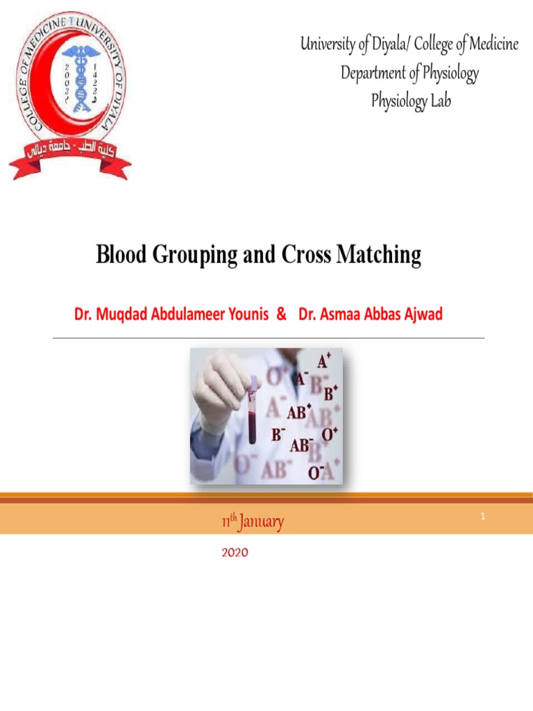 Blood Grouping and Cross Matching Final | PDF | Blood Type | Anatomy