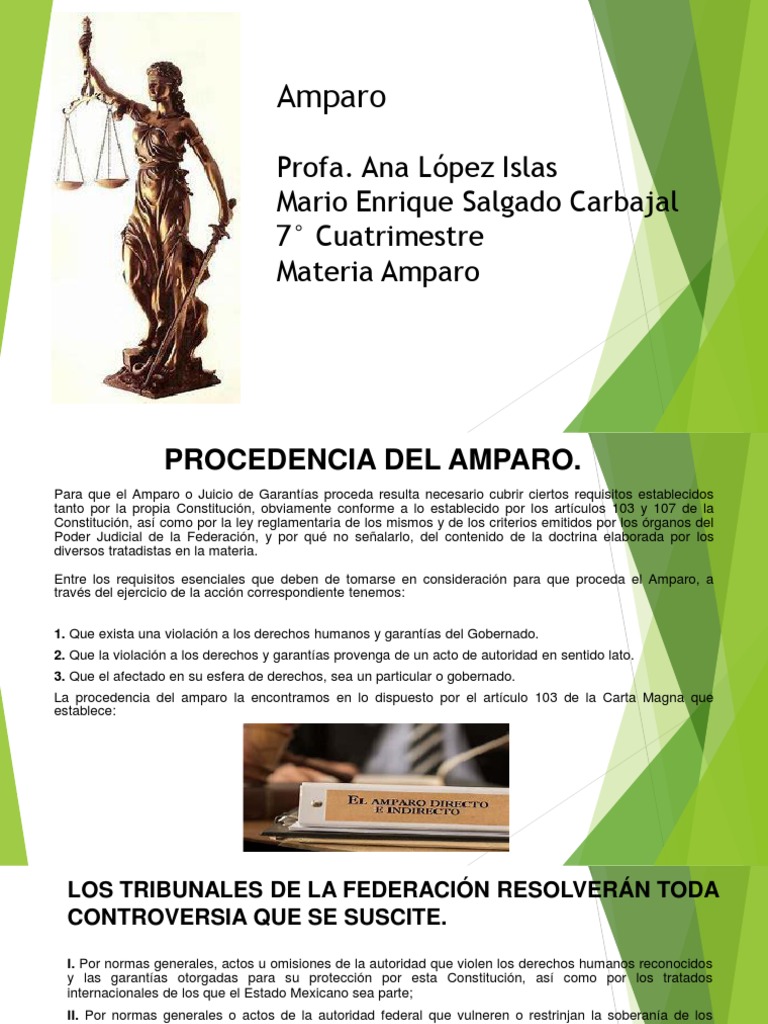 Amparo | PDF | Judicaturas | Documentos legales