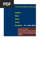 Baremo Raven Escala Coloreada | PDF