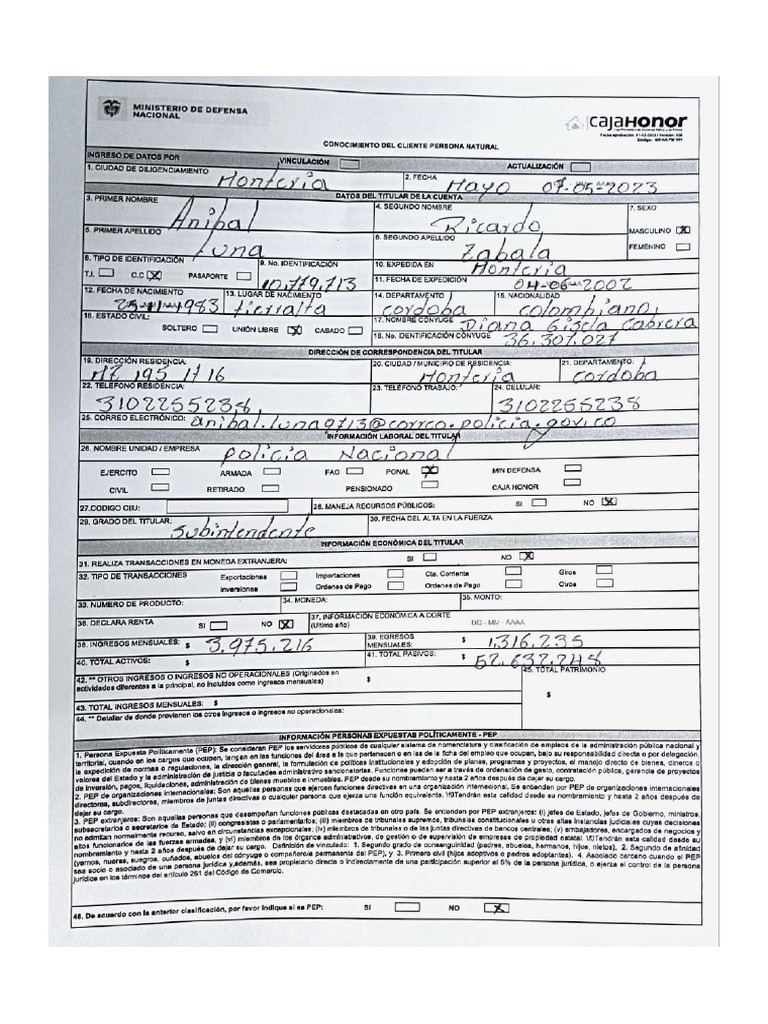 FORMATO Compressed | PDF