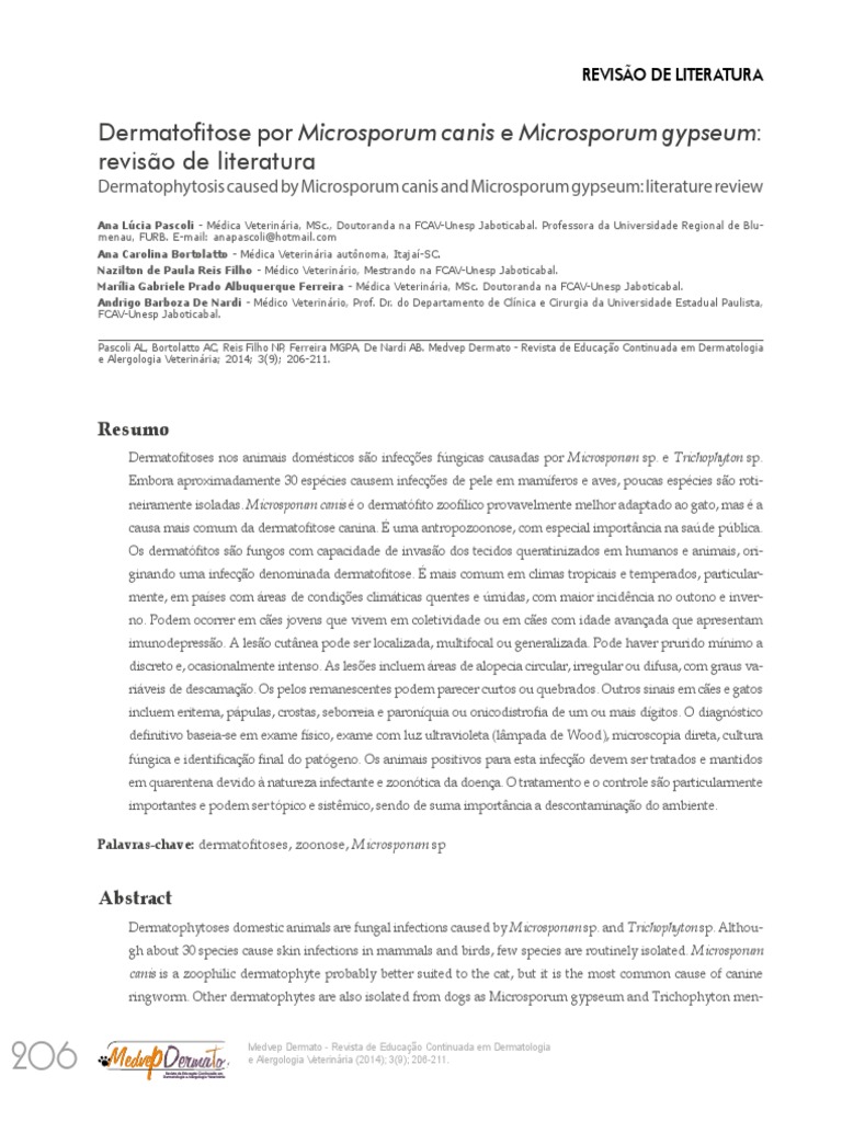 Dermatofitose Por Microsporum Canis e Microsporum Gypseum Revisão de ...