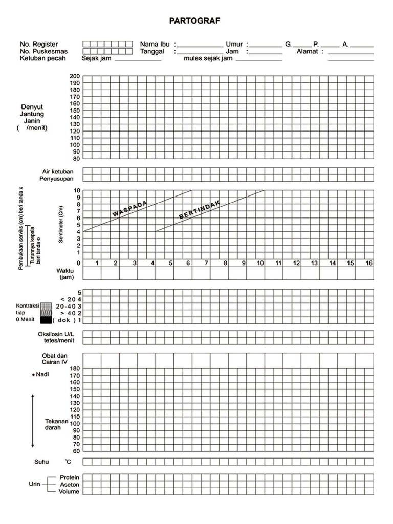 Partograf | PDF
