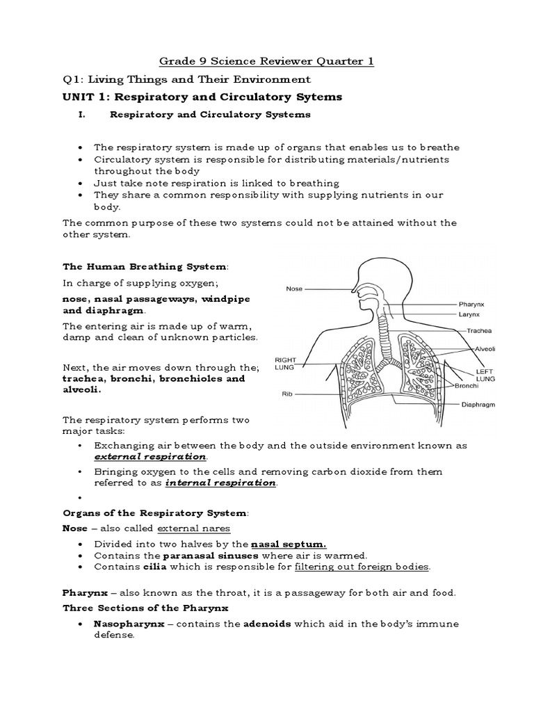 Grade 9 Science Reviewer Quarter 1 PDF | PDF | Heart | Dominance (Genetics)