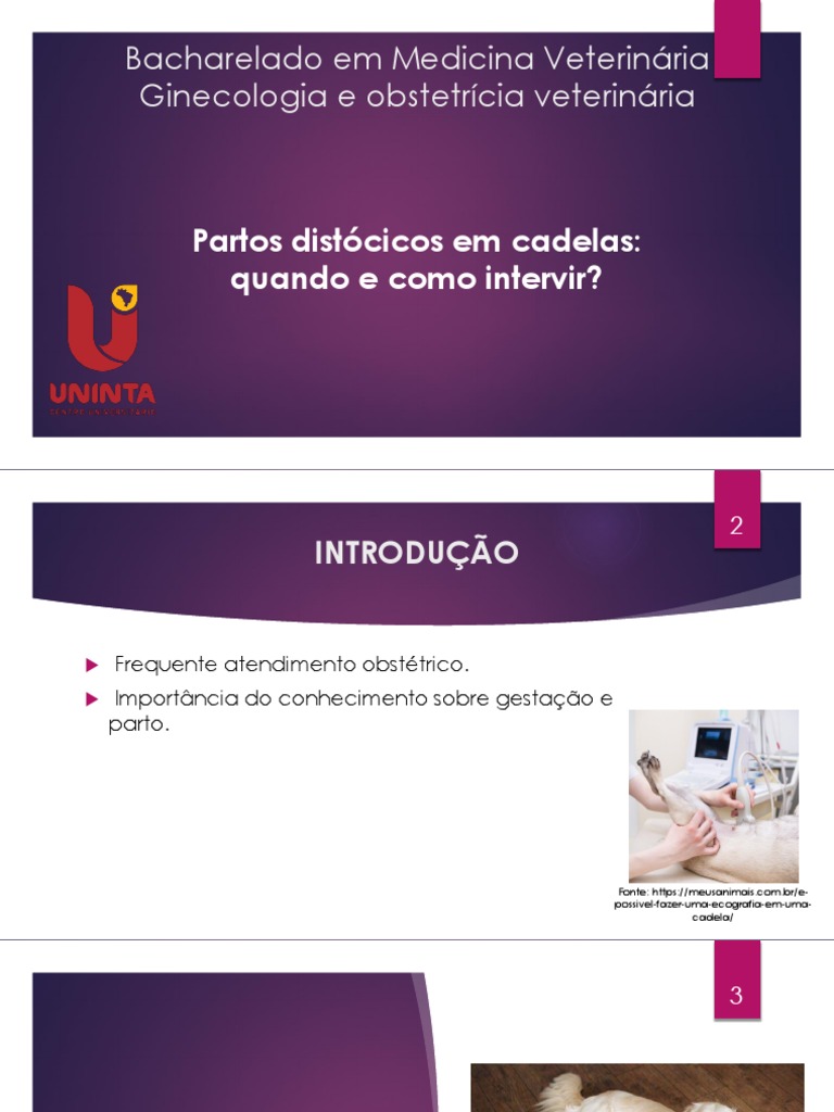 Aula 11 - PARTO DISTOCICO EM CADELAS - QUANDO E COMO INTERVIR | PDF