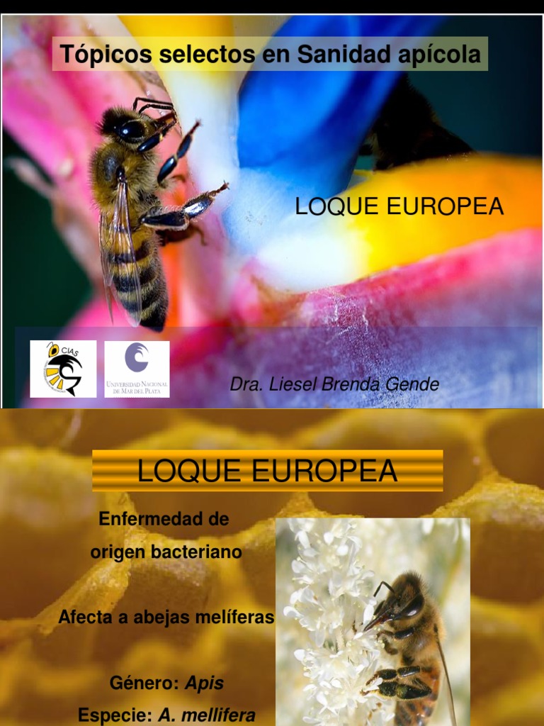 LE Topicos Selectos PDF | PDF | Western Honey Bee | Apoidea