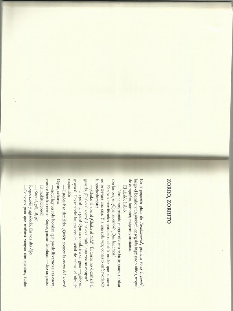 Zorro Zorrito Pdf Pdf