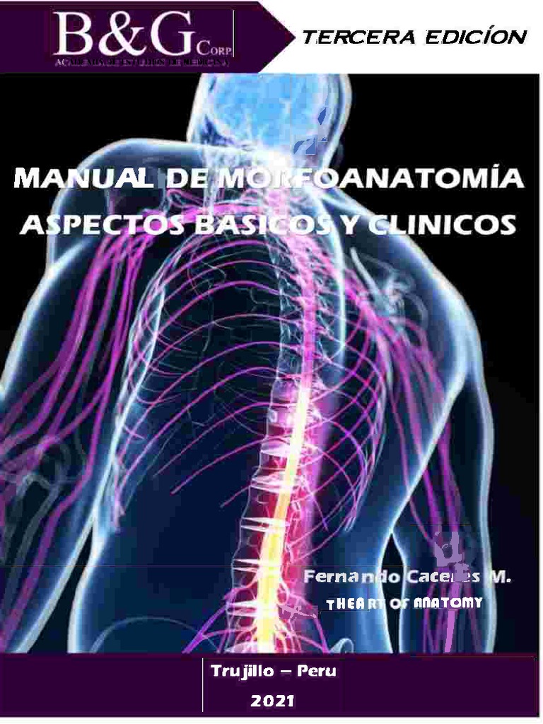Libro-Morfo Anato Coba PDF | PDF | Médula espinal | Anatomía