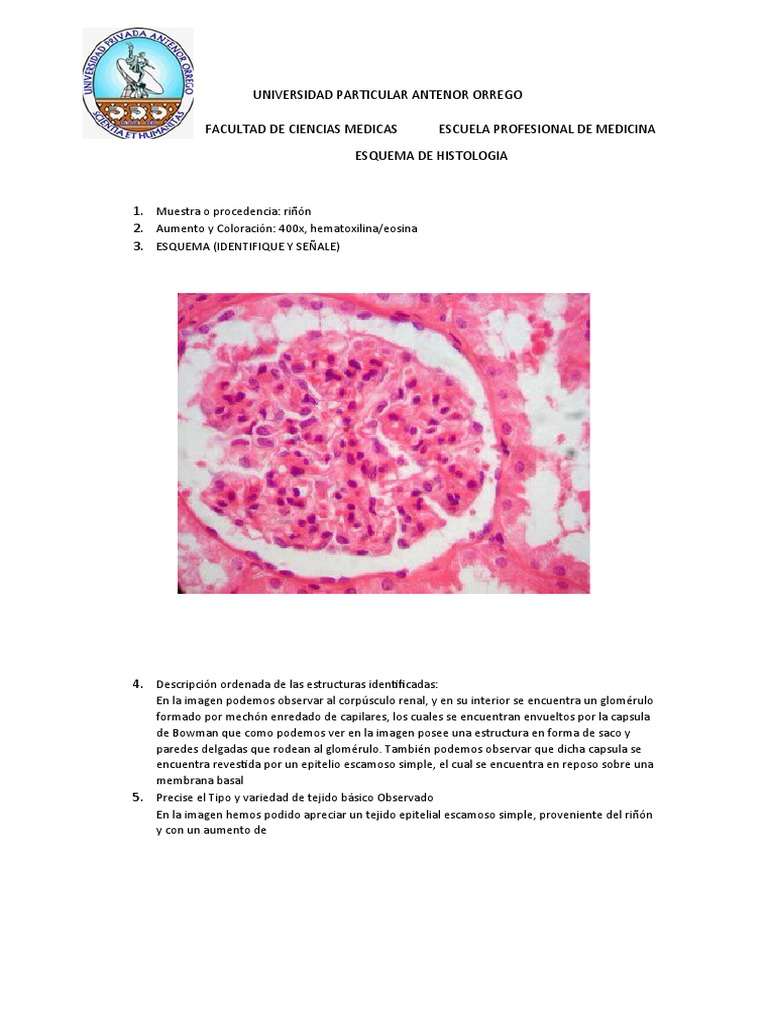 Formato Esquema para Dibujo | PDF