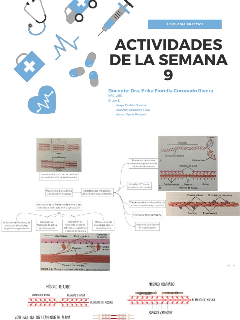 Actividades Semana 9 PDF | PDF