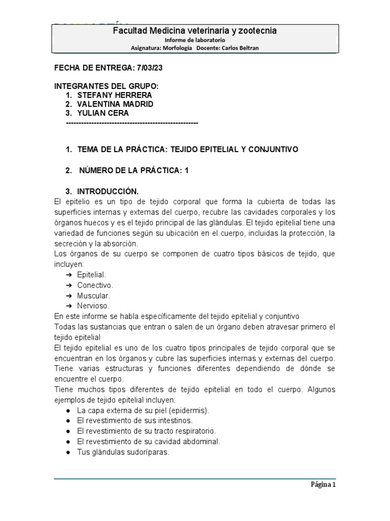 Lab Cabeto | PDF | Epitelio | Tiroides