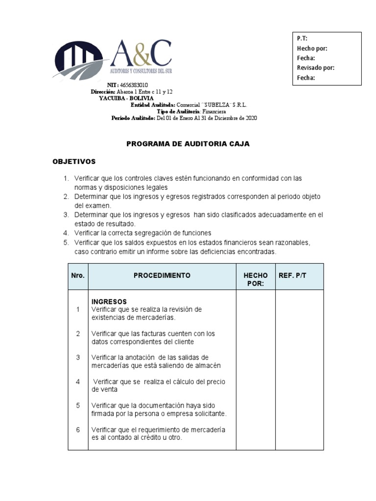 13.programa de Auditoria | PDF | Auditoría | Business
