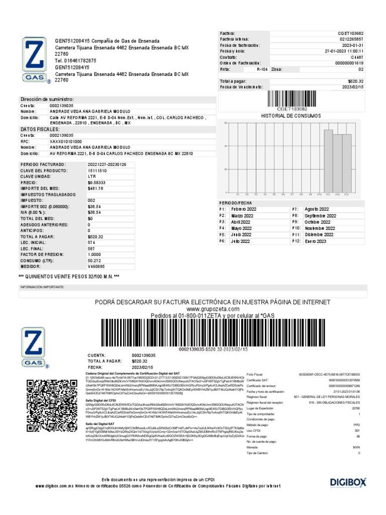 PDF | PDF | Contabilidad | Servicios financieros