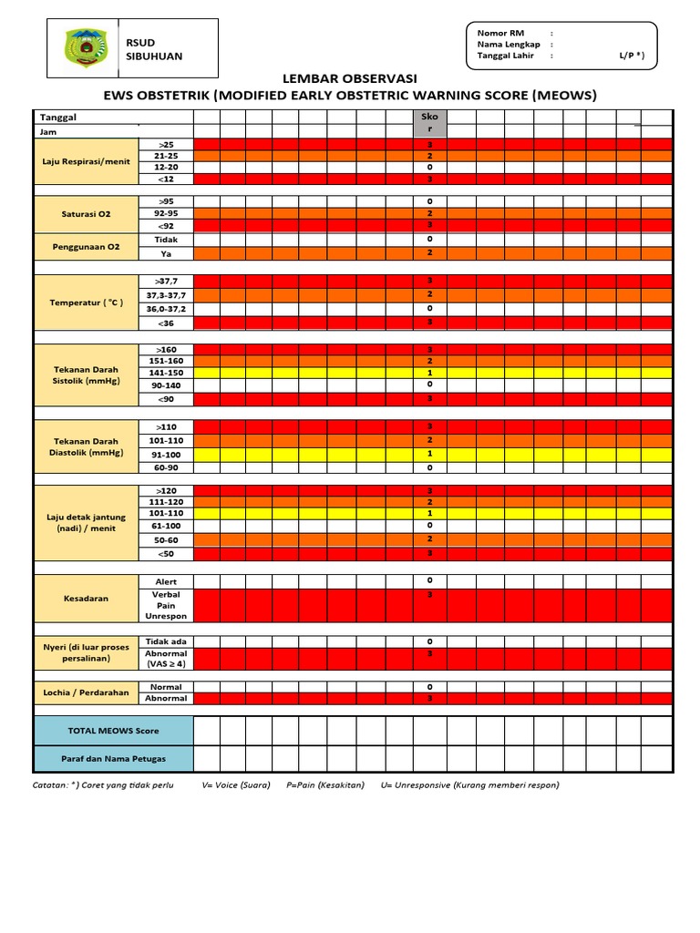 Form Observasi Meows | PDF