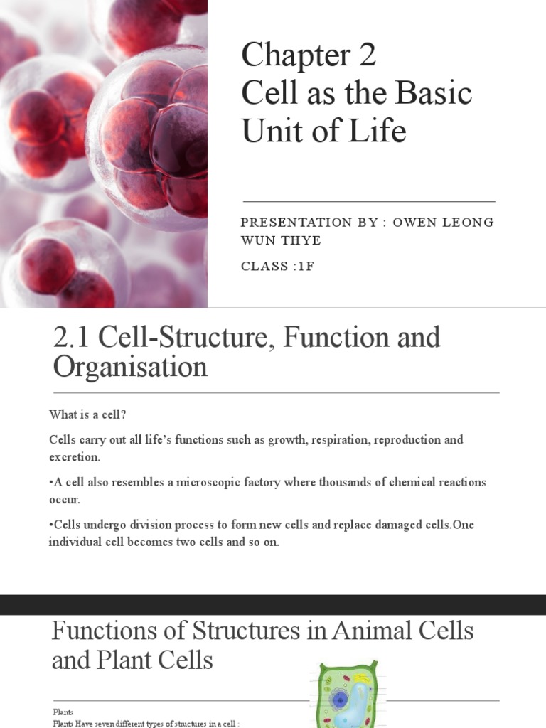 Chapter 2 Science | PDF | Cell (Biology) | Organisms